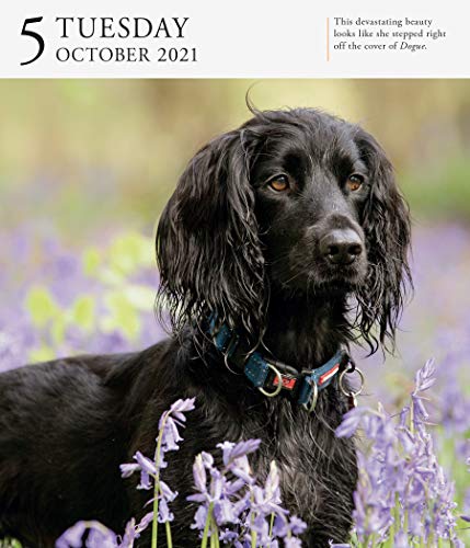Dog Page-A-Day Gallery Calendar 2021