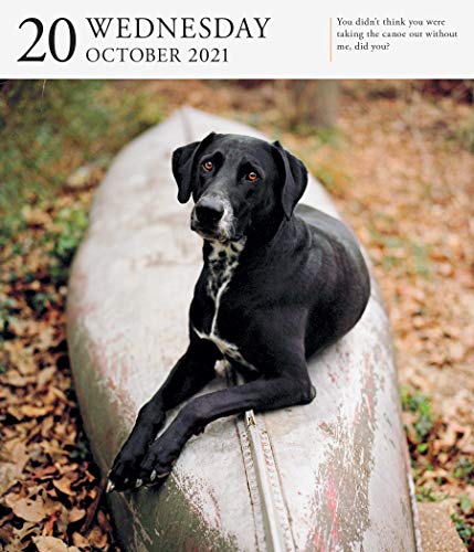 Dog Page-A-Day Gallery Calendar 2021