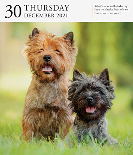 Dog Page-A-Day Gallery Calendar 2021
