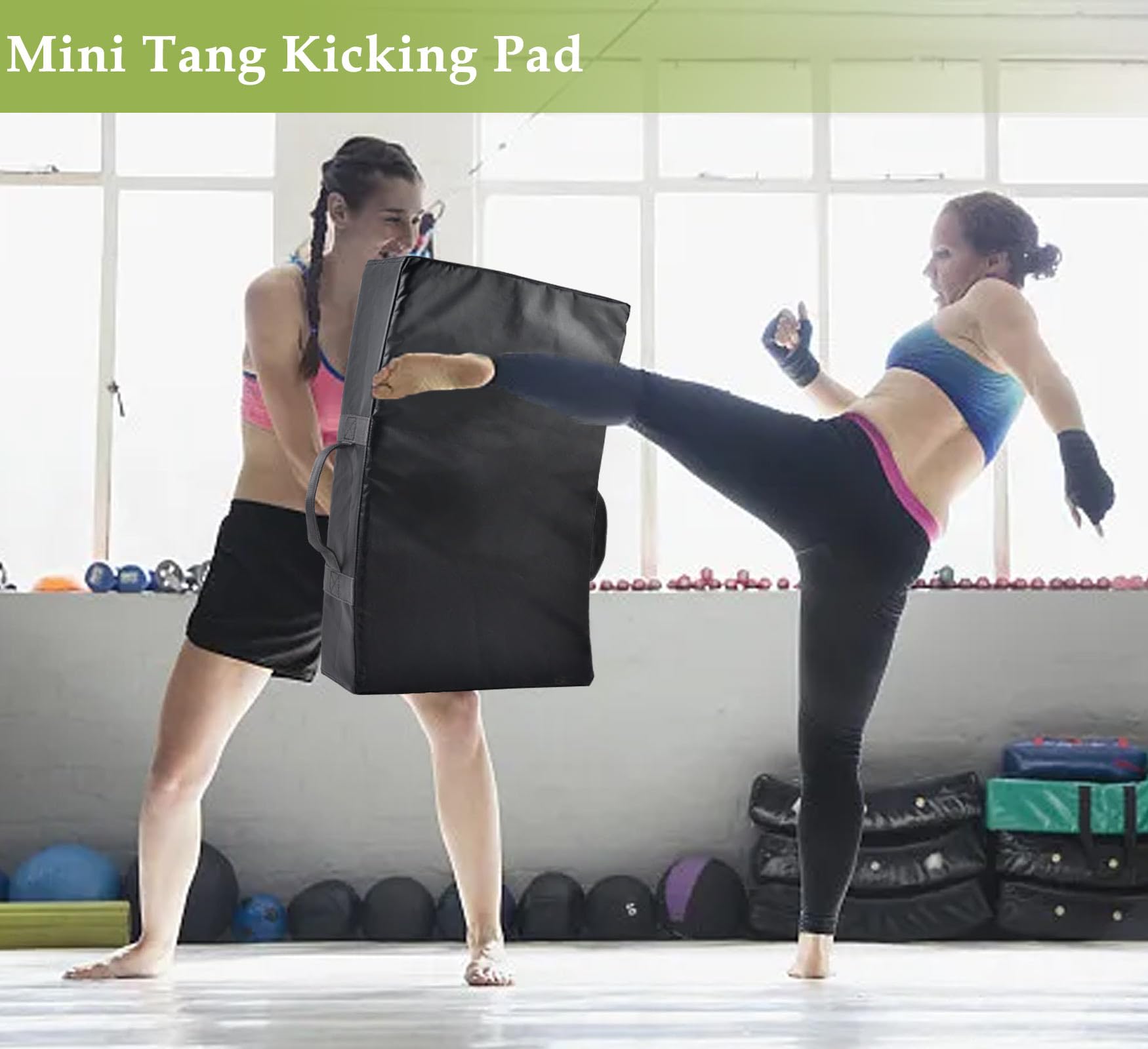 Mini Tang Kick Shield,Boxing Pads,Kicking Pads for Taekwondo,Martial Arts Kicking Pad,Karate Pads Kicking and Punching,Kicking Pads for Martial Arts,Boxing Pad with 5 Padded Handles…