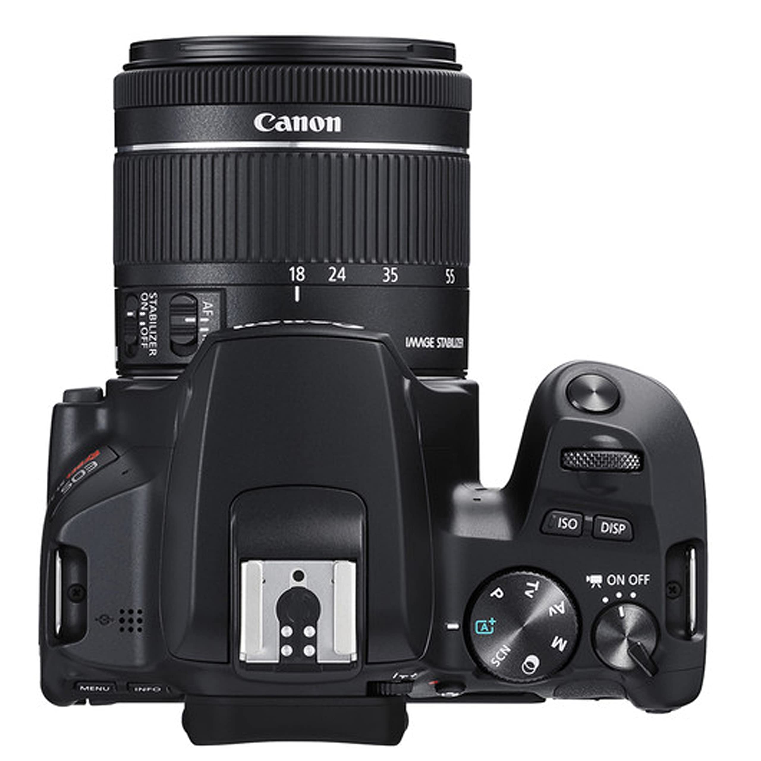 Canon EOS Rebel SL3 DSLR Camera w/Canon EF-S 18-55mm is STM Lens + 2Pc 64GB Memory Card + Tripod + Photo and Video Editor & More (Renewed)
