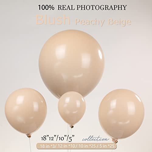 Kozee Double-Stuffed Nude Blush Balloons Different sizes 63 PACK 18+12+10+5 inch Peachy beige Balloon Garland kit For Wedding Birthday baby shower anniversary decorations