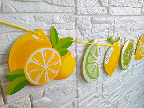 Lemonade Party Decoration Lemonade Foil Latex Balloons Banner,Lemonade Garland Decoration for Summer Lemonade Party