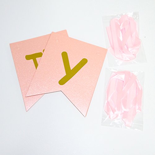 Happy 16th Birthday Banner - Pink and Gold 16th Birthday Decorations - Sweet 16 - Milestone Happy Birthday Decorations