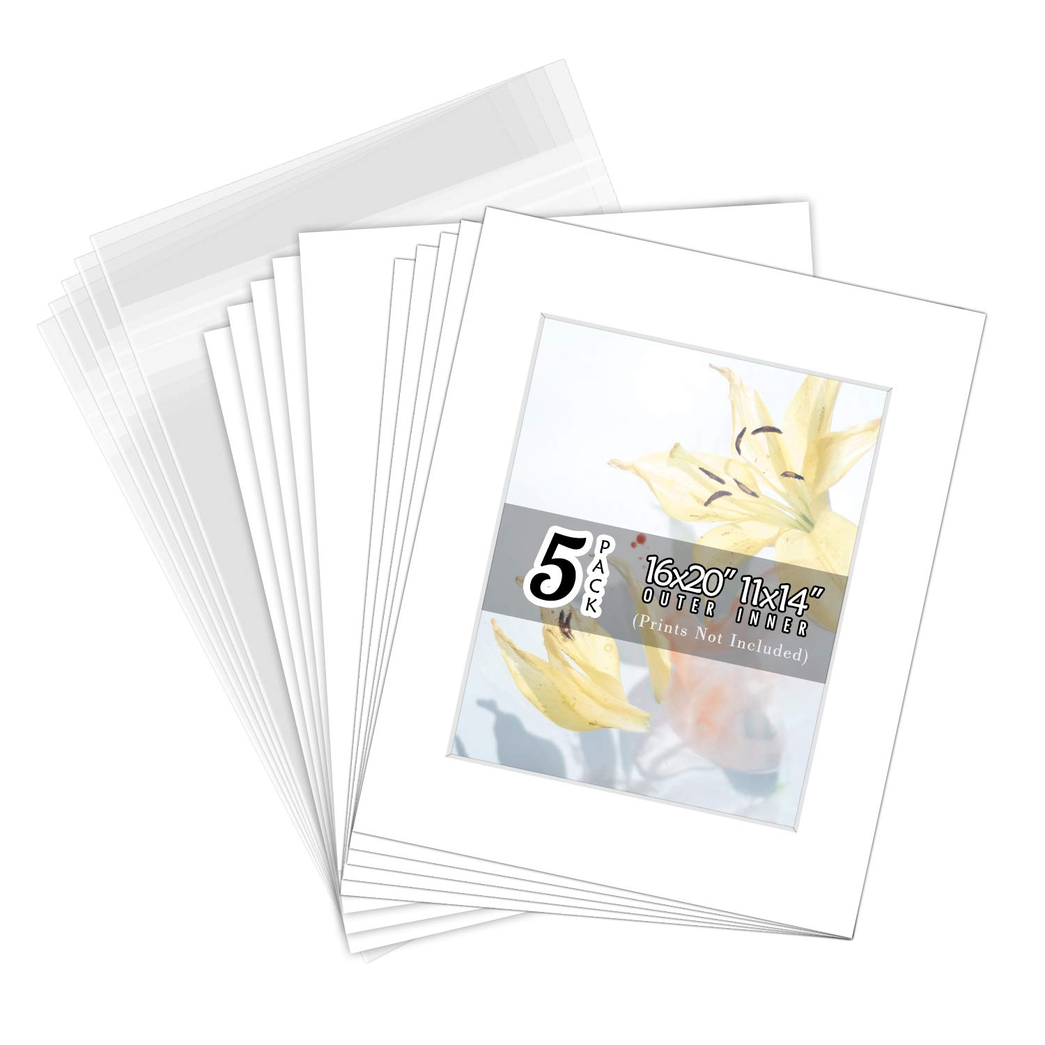 Golden State Art, White Pre-Cut 16x20 Picture Mat for 11x14 Photo with White Core Bevel Cut Mattes Sets. Includes High Premier Acid Free Mats & Backing Board & Clear Bags (5 Kit)