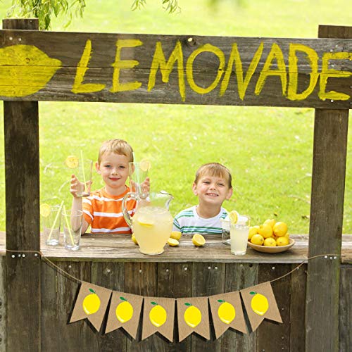 Rainlemon Jute Burlap Lemon Banner Summer Lemon Theme Baby Shower Gender Reveal Birthday Party Mantel Fireplace Decoration