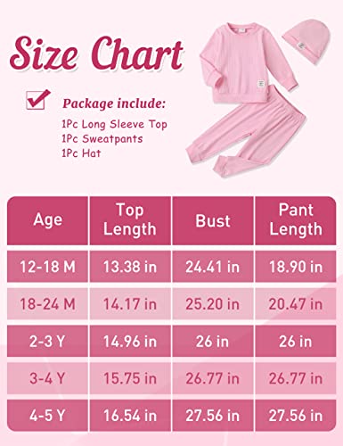 Melaogoy Toddler Baby Girl Clothes Outfit Long Sleeve Sweatsuit Set Solid Top+Pants+Hat 3PCS(2-3T Pink)
