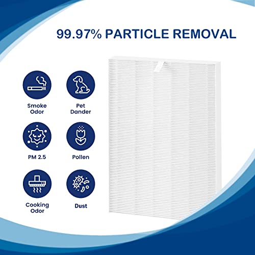 114190 True HEPA Replacement Filters B Compatible with Winix 9500 U300 P300 WAC9000 WAC9500 WAC5000 WAC5000b WAC5300 WAC6300 WAC5500 Air Cleaner, Compared to Winix Filter B 114190 (2 Pack HEPA Only)
