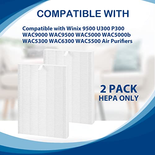 114190 True HEPA Replacement Filters B Compatible with Winix 9500 U300 P300 WAC9000 WAC9500 WAC5000 WAC5000b WAC5300 WAC6300 WAC5500 Air Cleaner, Compared to Winix Filter B 114190 (2 Pack HEPA Only)