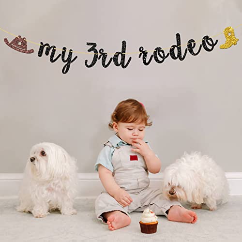 INNORU My 3rd Rodeo Banner, Mexican Theme 3rd Birthday Party Decorations, West Cowboy Cowgirl Three Birthday Party Decorations Black Glitter