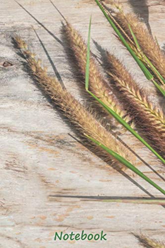 Notebook Line Black Interior Nature Grass Wooden Background Soft Cover Journal Your Diary Daily Note 155 Page Size 6 X 9 Inch: Creativity Lined ... End of School Teaching Homework Gift Meeting