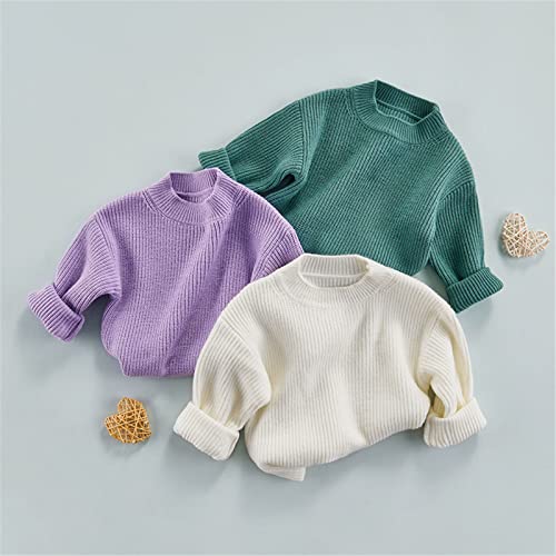 Toddler Baby Knit Sweater Kids Boy Girl Solid Color Long Sleeve Basic Pollover Top Fall Winter Warm Clothes(D-Green,12-24 Months