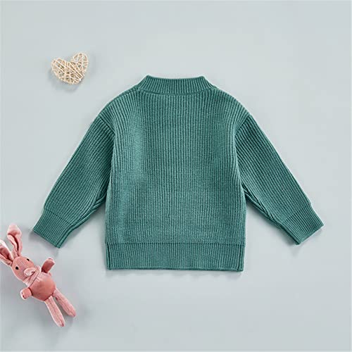 Toddler Baby Knit Sweater Kids Boy Girl Solid Color Long Sleeve Basic Pollover Top Fall Winter Warm Clothes(D-Green,12-24 Months