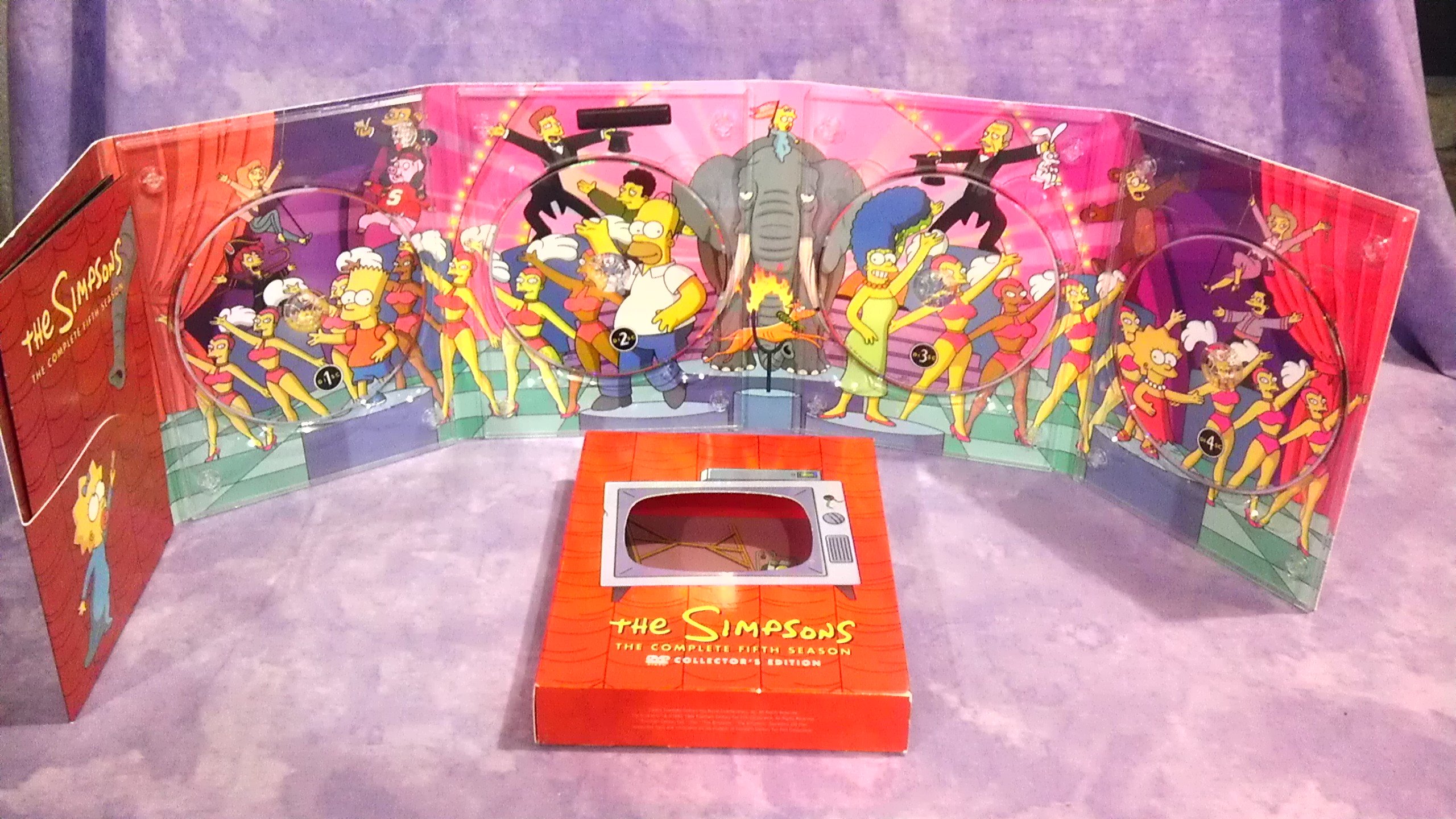 The Simpsons - The Complete Fifth Season collector's ed [DVD] [1993]