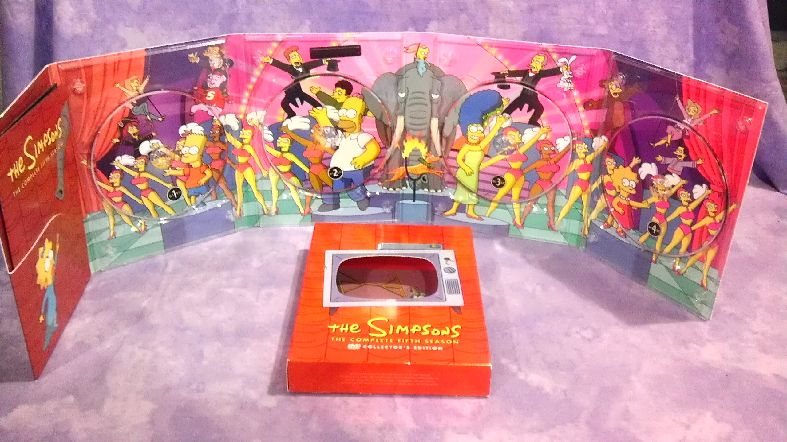 The Simpsons - The Complete Fifth Season collector's ed [DVD] [1993]