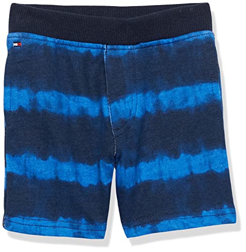 Tommy Hilfiger Baby Boys 2 Pieces Short Set, Bright White, 3-6 Months US