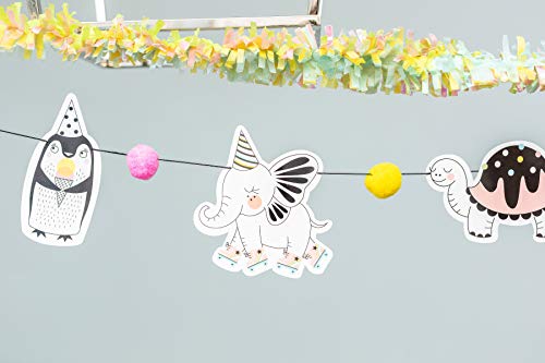 Party Partners Festive Fringe Garland Party Banner, 16.5-Feet, Pastel
