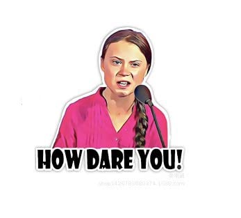 Aokannavi Greta Thunberg How Dare You Laptop Window Car Bumper Helmet Water Bottle - Sticker Graphic - Weatherproof & Long Lasting Sticker (2 Pieces)
