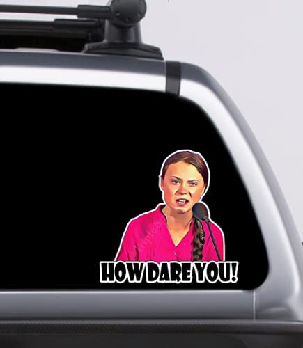 Aokannavi Greta Thunberg How Dare You Laptop Window Car Bumper Helmet Water Bottle - Sticker Graphic - Weatherproof & Long Lasting Sticker (2 Pieces)