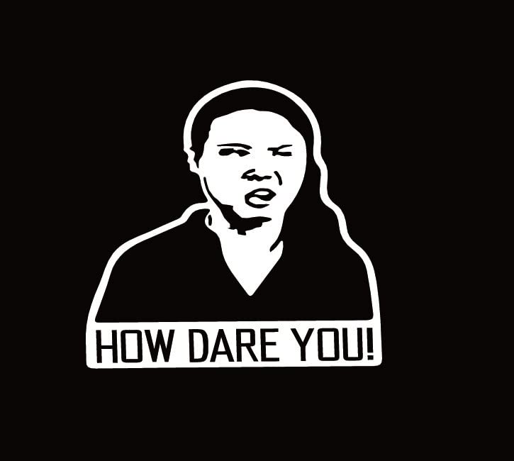 Aokannavi Greta Thunberg How Dare You Laptop Window Car Bumper Helmet Water Bottle - Sticker Graphic - Weatherproof & Long Lasting Sticker (2 Pieces)