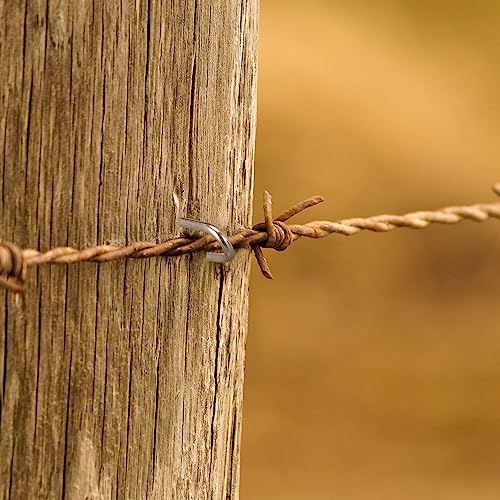Therwen U Shaped Nails Wire Fence Staples Nails, 1 Inch Steel Fencing Spike, Galvanized U Shaped Fasteners Spike for Fixing Wire Woven and Mesh Fencing, Corrosion and Rust Resistant(500 Pcs)