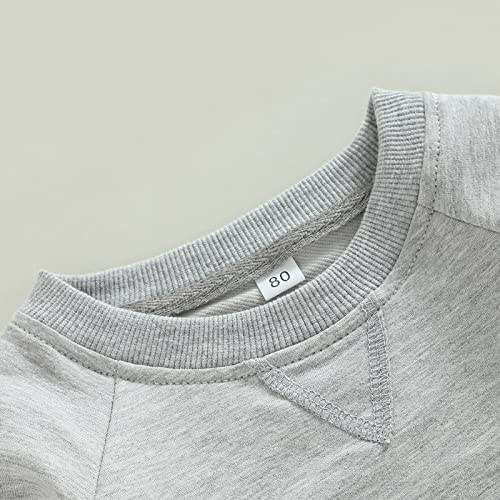 Gueuusu Toddler Kids Baby Boy Girl Crewneck Sweatshirt Cotton Long Sleeve Solid Color Pullover Top Casual Spring Fall Clothes (Light Gray , 6-12 Months )