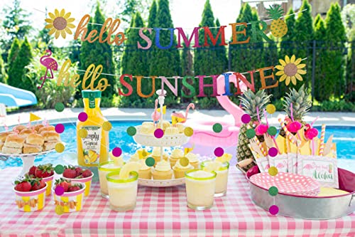 Hello Summer Banner, Glittery Hello Sunshine Classroom Decor Sign, Hello Summer Decorations for Home Office, Hello Summer Birthday Party Decorations, Sunflower Flamingo Pineapple Hawaiian Party Decor