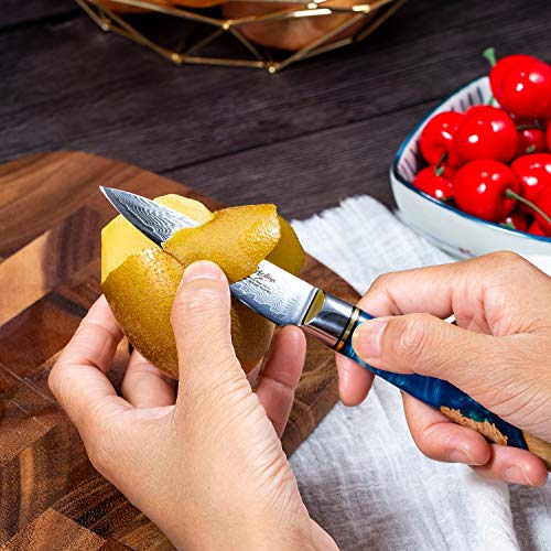 Dnifo Classic Paring Knife 3.5 Inch, Damascus Steel Japanese Knife - Sharp fruit knife for Peeling, Cutting, and Slicing - Non-stick Blade and Anti-rusting Forged Cutlery Knife