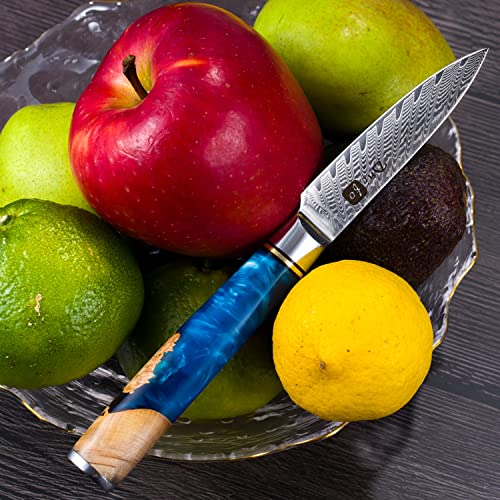 Dnifo Classic Paring Knife 3.5 Inch, Damascus Steel Japanese Knife - Sharp fruit knife for Peeling, Cutting, and Slicing - Non-stick Blade and Anti-rusting Forged Cutlery Knife