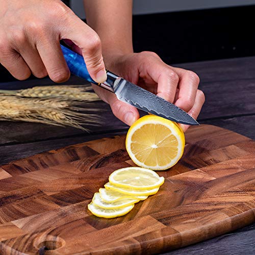 Dnifo Classic Paring Knife 3.5 Inch, Damascus Steel Japanese Knife - Sharp fruit knife for Peeling, Cutting, and Slicing - Non-stick Blade and Anti-rusting Forged Cutlery Knife