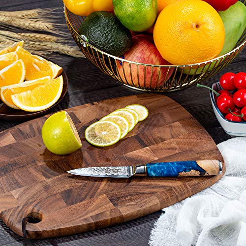 Dnifo Classic Paring Knife 3.5 Inch, Damascus Steel Japanese Knife - Sharp fruit knife for Peeling, Cutting, and Slicing - Non-stick Blade and Anti-rusting Forged Cutlery Knife