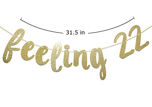 Feeling 22 Glitter Banner , 22nd Birthday Banner, 22nd Birthday Decor (Gold)