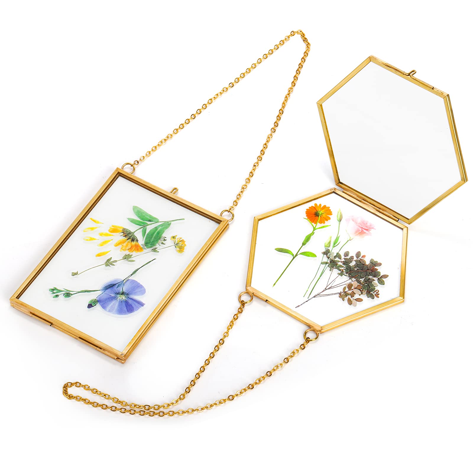 AVLA 3 Pack Pressed Flowers Glass Frames, Brass Hanging Picture Frames with Chain, Small Golden Floating Photo Frame, Clear DIY Artwork Display Frame for Wall Decor, Dried Plant Specimen