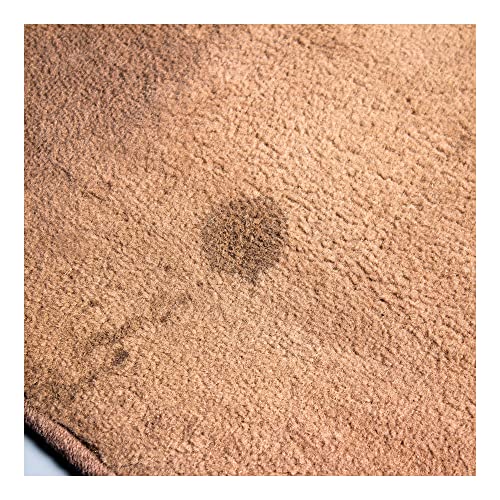 Griot's Garage 11298 Foaming Carpet & Upholstery Cleaner 19oz