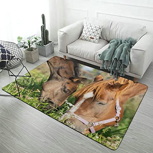 ERUXUGB Cutest Baby Animals | Horse Colt Coral Velvet Floor mat(150×100cm)
