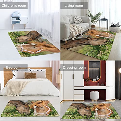 ERUXUGB Cutest Baby Animals | Horse Colt Coral Velvet Floor mat(150×100cm)