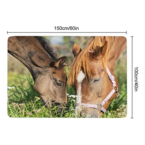 ERUXUGB Cutest Baby Animals | Horse Colt Coral Velvet Floor mat(150×100cm)