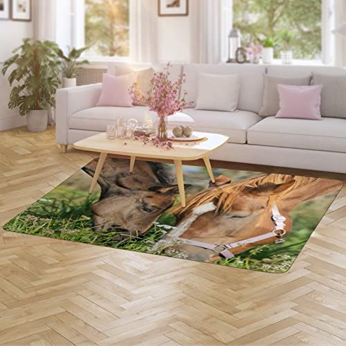 ERUXUGB Cutest Baby Animals | Horse Colt Coral Velvet Floor mat(150×100cm)