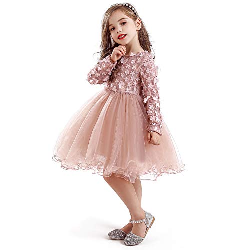 TTYAOVO Girls Long Sleeve Lace 3D Flowers Tulle Layered Princess Party Dresses Size(120) 3-4 Years Pink