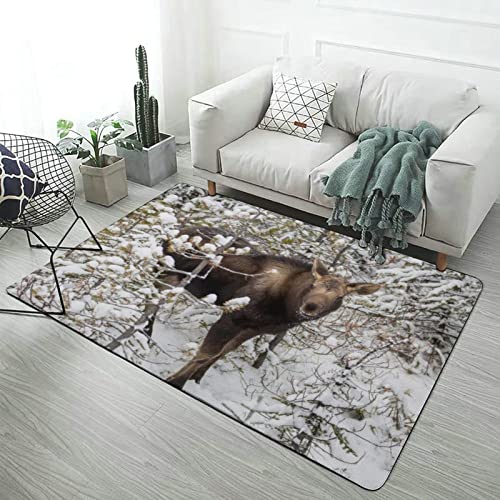 ERUXUGB Cutest Baby Animals | Moose Calf Coral Velvet Floor mat(150×100cm)
