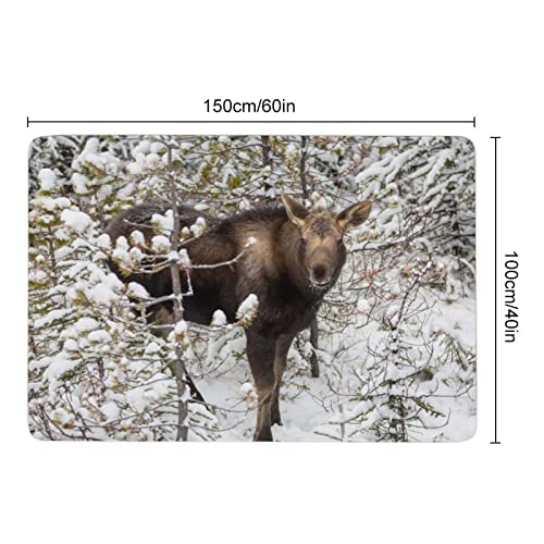 ERUXUGB Cutest Baby Animals | Moose Calf Coral Velvet Floor mat(150×100cm)