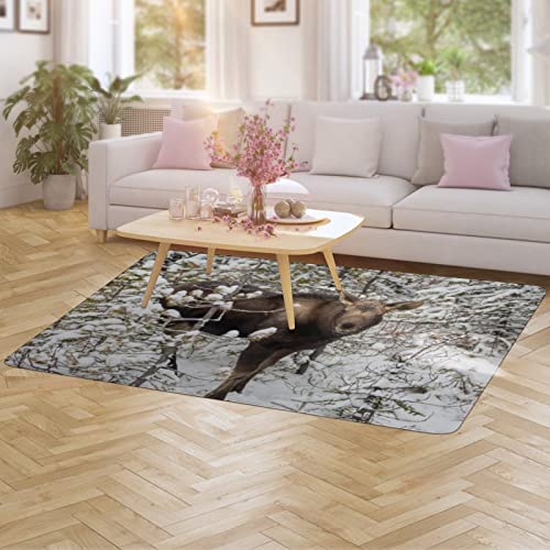 ERUXUGB Cutest Baby Animals | Moose Calf Coral Velvet Floor mat(150×100cm)