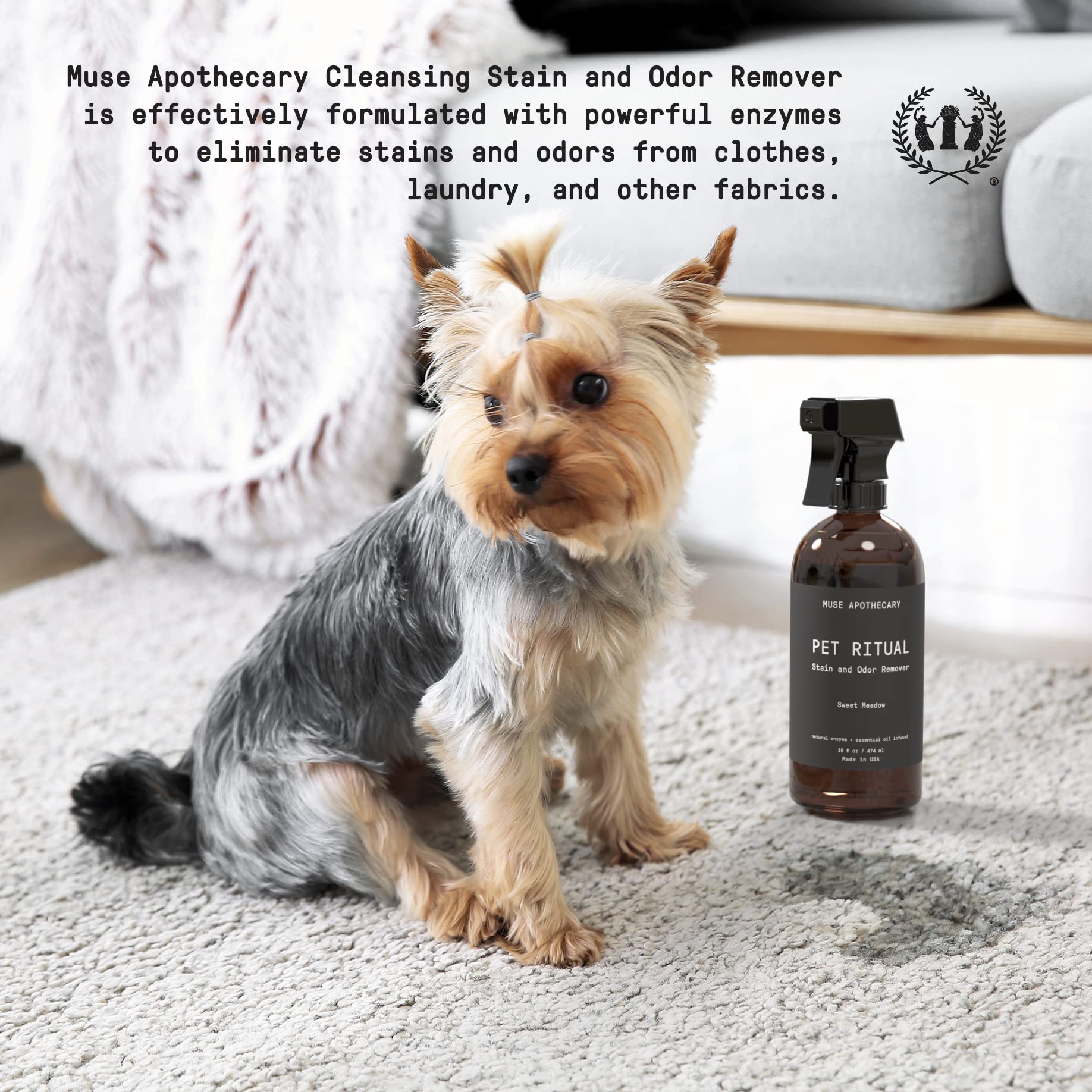Muse Apothecary Complete Pet Stain and Odor Remover Enzyme Carpet Cleaner - Dog Stain Remover and Odor Neutralizer, Essential Oils Infused, Pet Stain Remover for Carpet - Pet Stain Carpet Cleaner 16oz