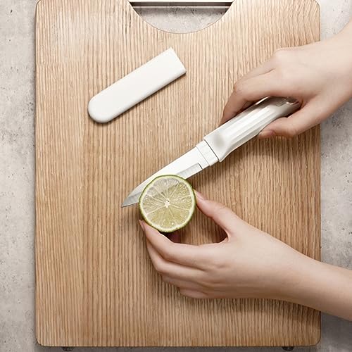 WISELADY Portable Fruit Knives with Hanging Ring, Paring Knife, Small Kitchen Knife with Sharp Blade, Paring Knife for Cutting and Preparing Fruit and Vegetables (Green)