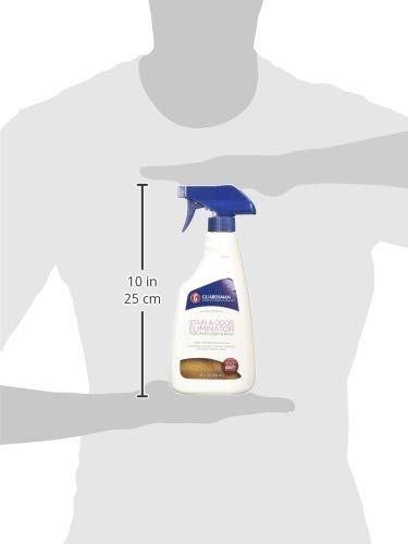 Guardsman 462600 Stain & Odor Eliminator for Fabric Removes Stains, Grease, Red Wine, Pet Stains,16 Oz Spray