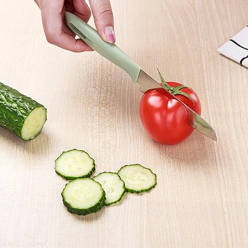 WISELADY Fruit Knives with Comfortable Handle, Paring Knife, Small Kitchen Knife with Sharp Blade, Paring Knife for Cutting and Preparing Fruit and Vegetables (Pink)