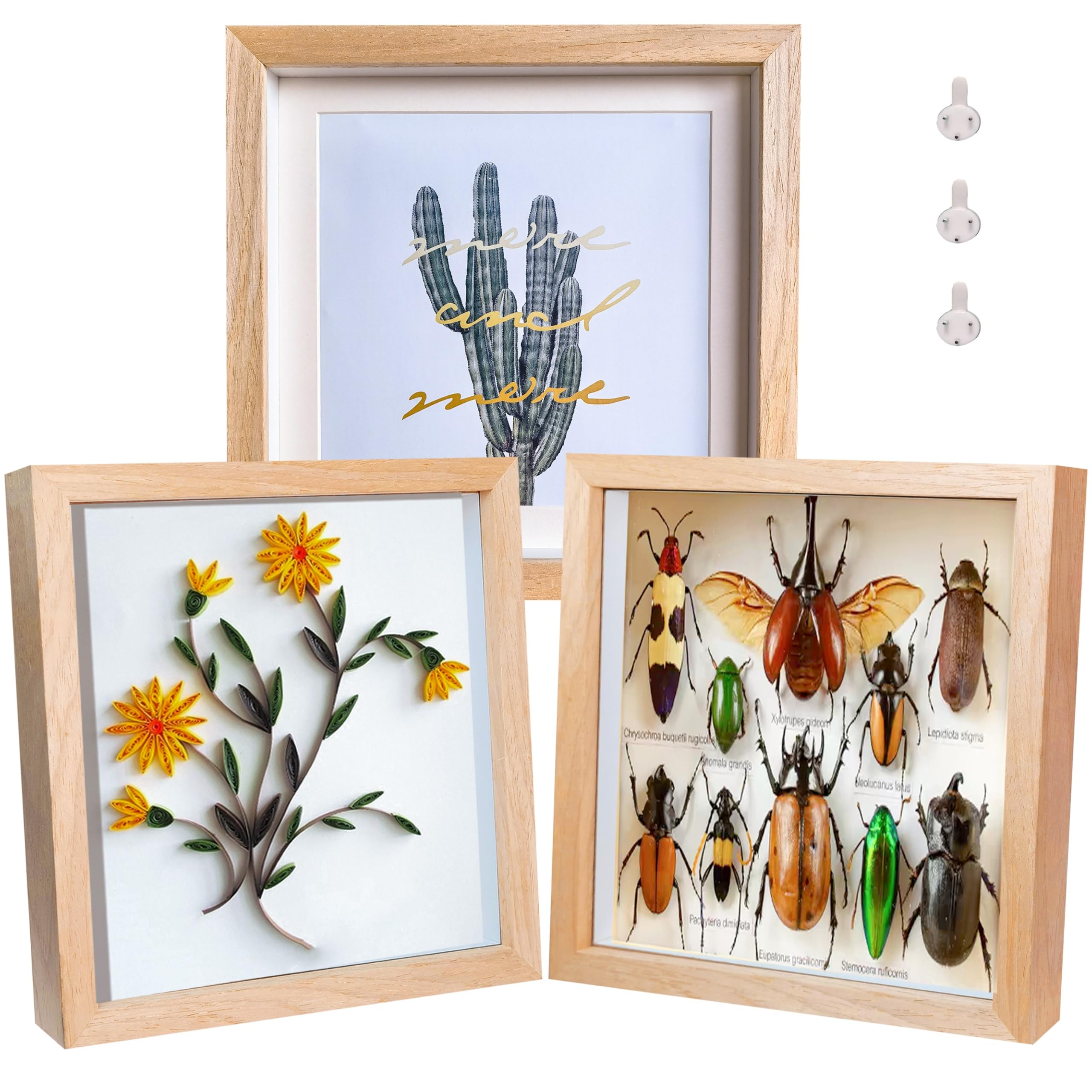Dohomi 8x8 Shadow Box Frame Natural Wood Shadow Box Display Case 3 Pack Picture Frames Glass Surface Internal Depth 0.6 inch for Wall Or Tabletop