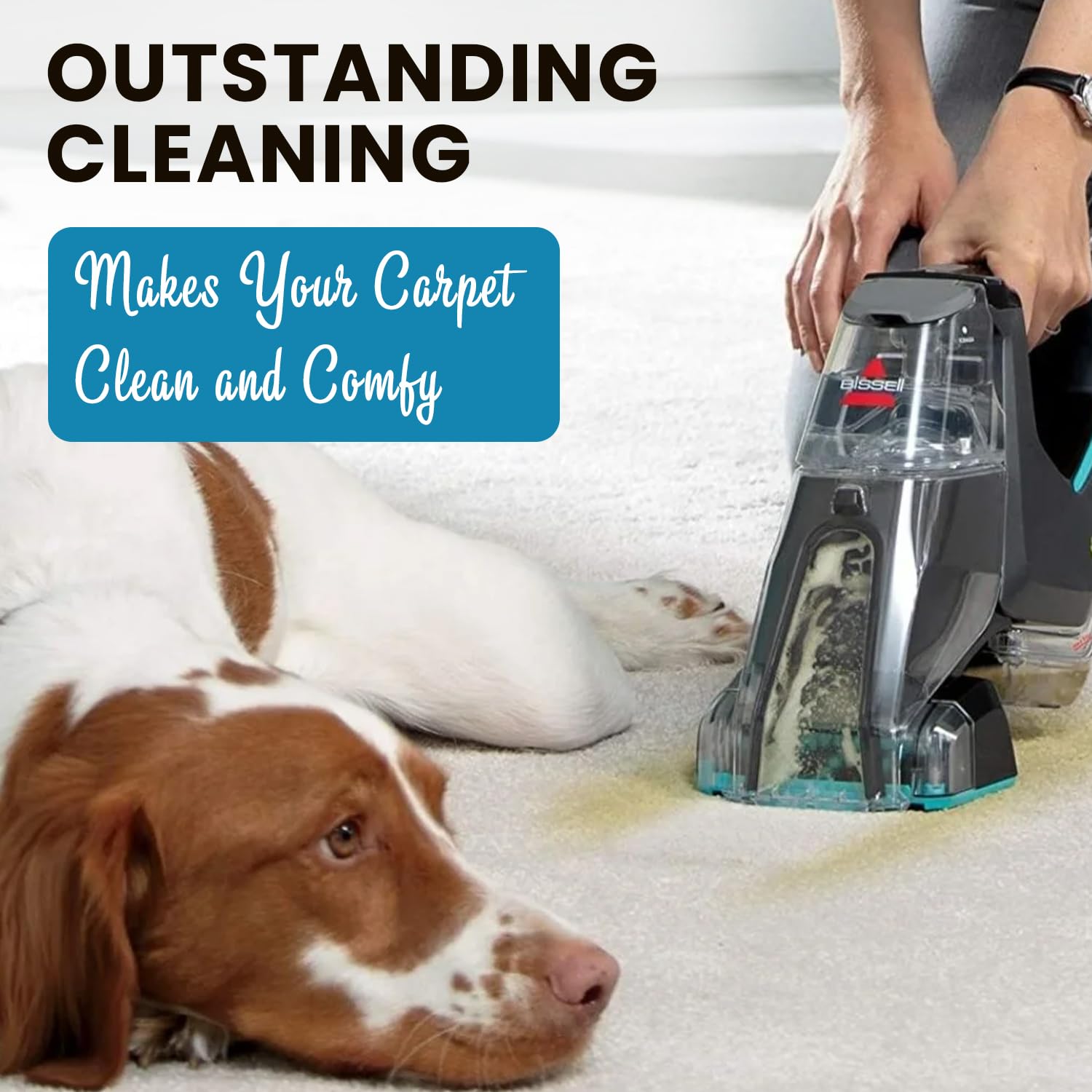 SNOW WHITE Carpet Cleaner Rug Extracting Shampoo, MADE IN USA, Carpet Cleaner Solution and Machine Use, Removes Even The Toughest Stains and odors, Rug Car Upholstery and Carpets, 1 Gallon