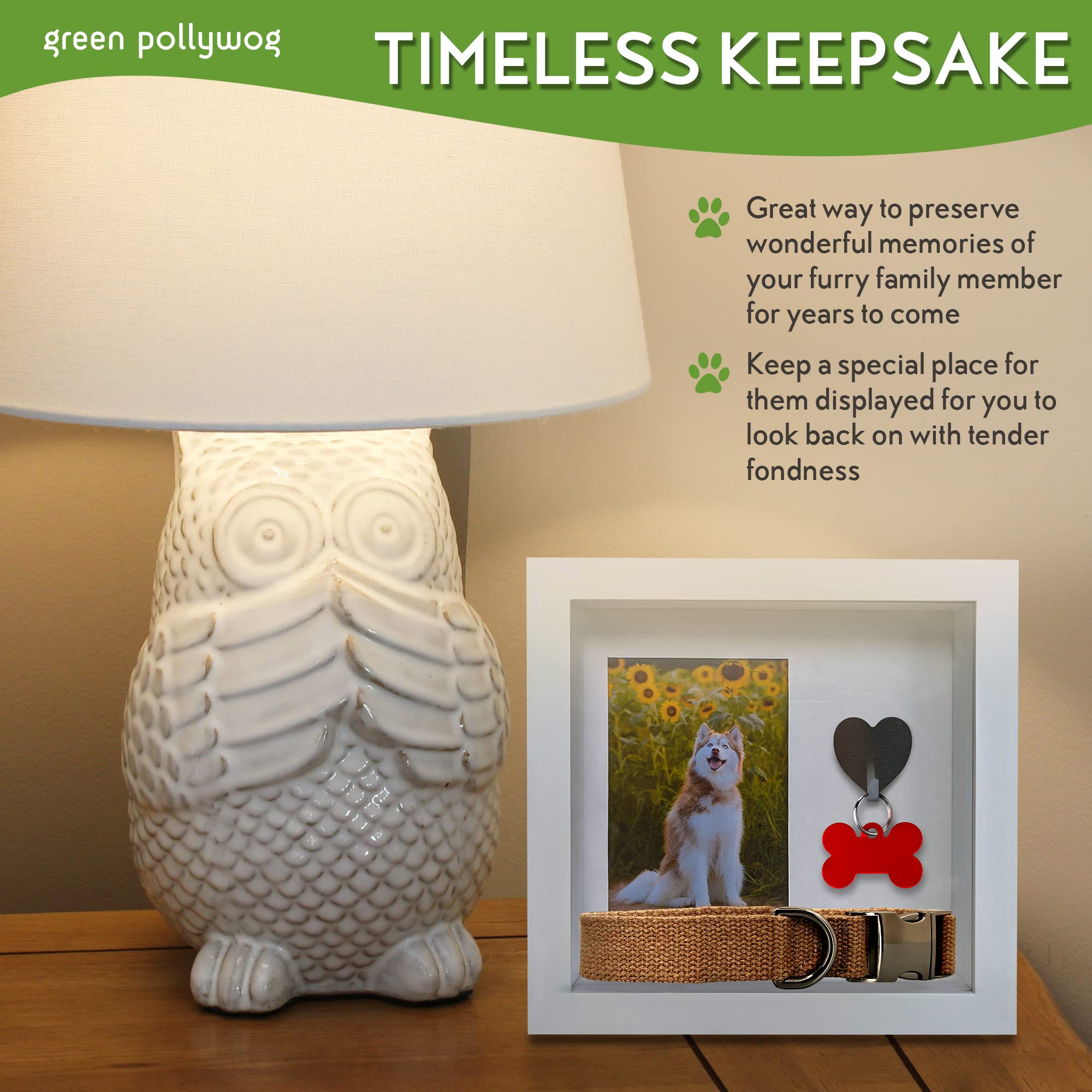 Green Pollywog Pet Memorial Shadowbox with Photo, Tag & Collar Display | White Frame with 4” x 6” Picture Opening | 10” x 10” x 2.5” Keepsake Box