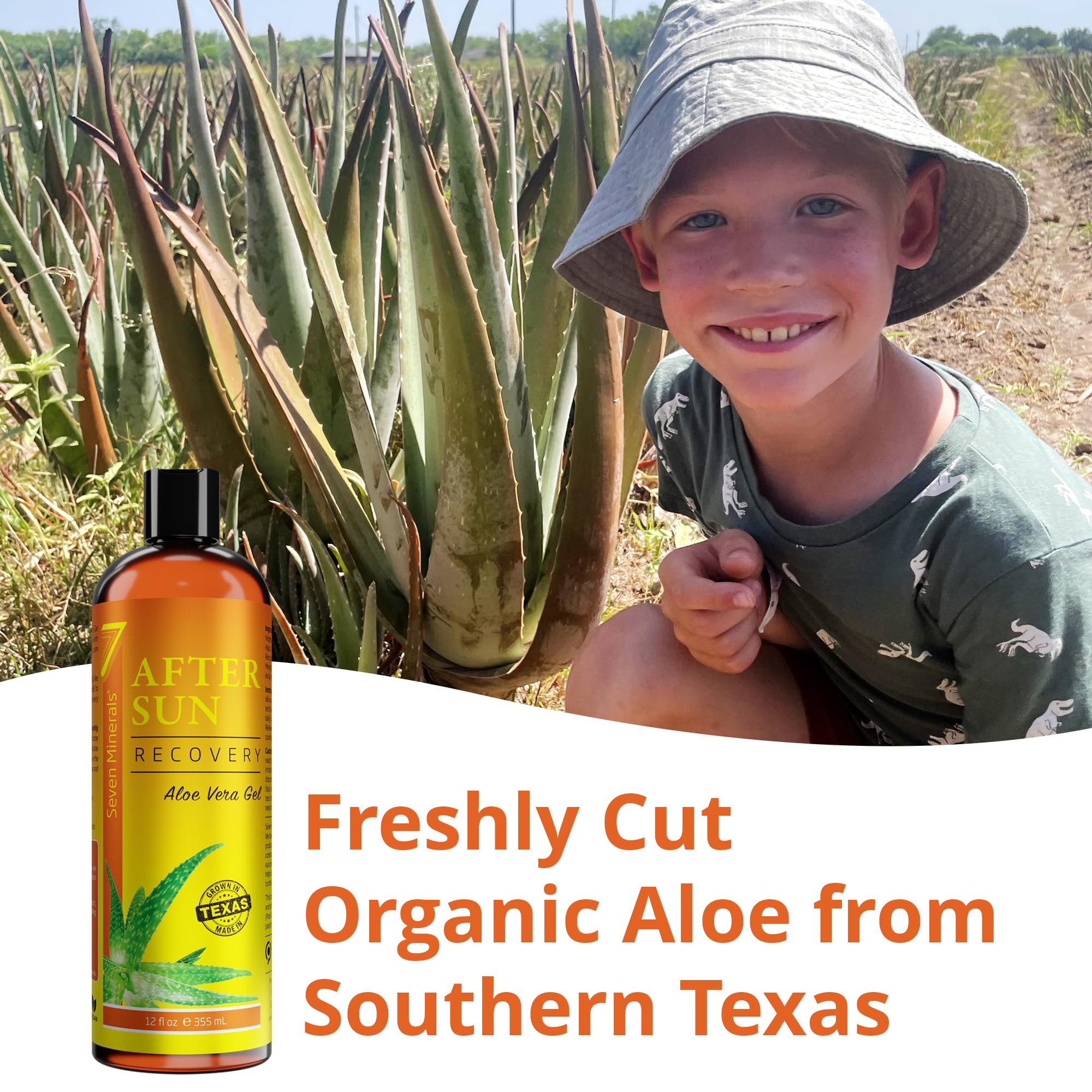 Seven Minerals NEW Recovery After Sun Gel with Aloe Vera - For Skin with Instant Sunburn Relief. Unlike Regular Aftersun Lotion, Ours Is Made From Texas Aloe. With Mango & Chamomile (12 Fl Oz)